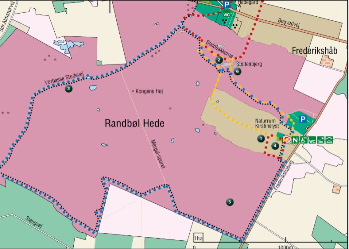 Naturhistorisk Forening for Fyn